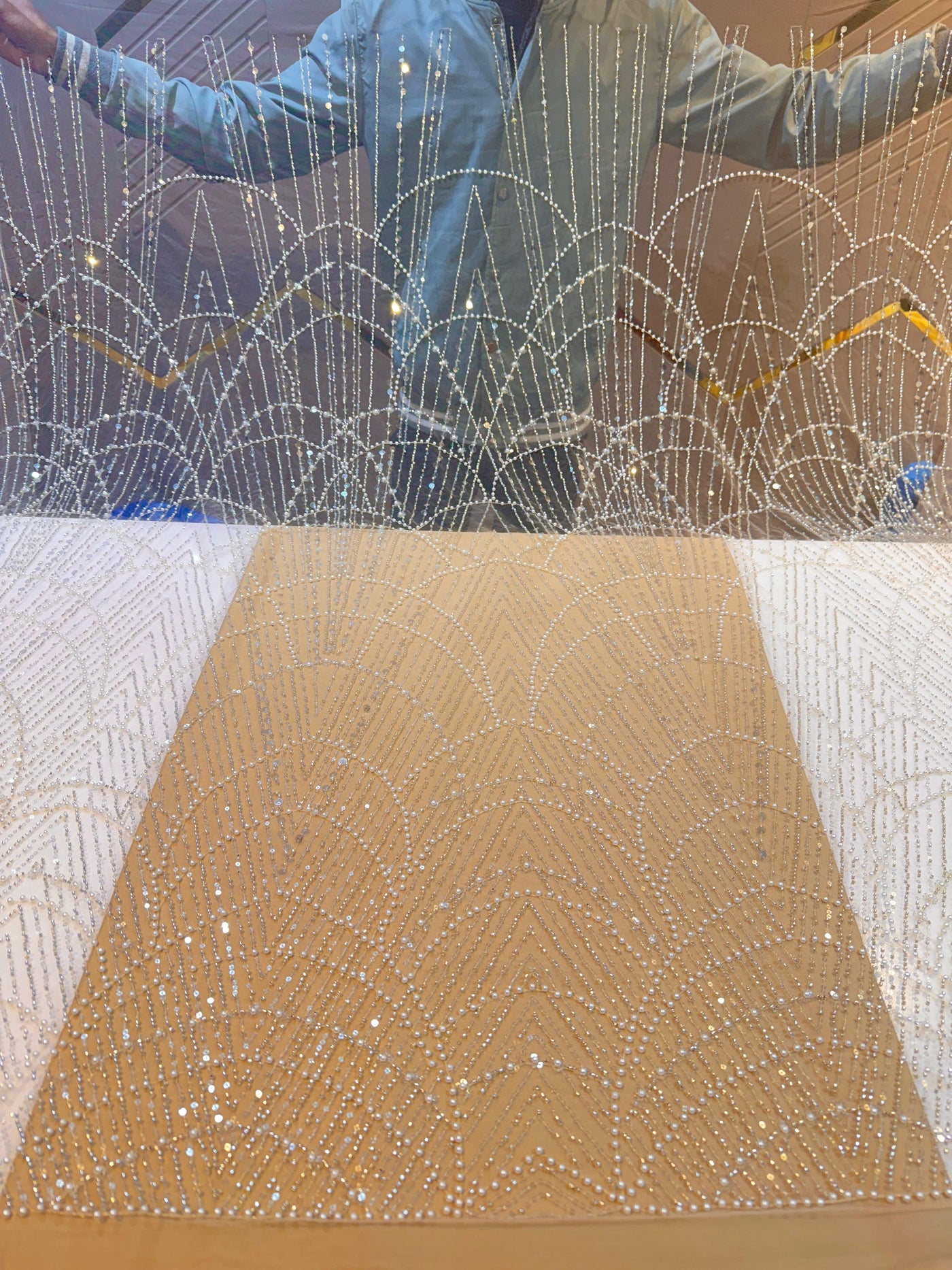 Beige Emil Handwork Net Embroidery 54 inch width – Fabric Forever